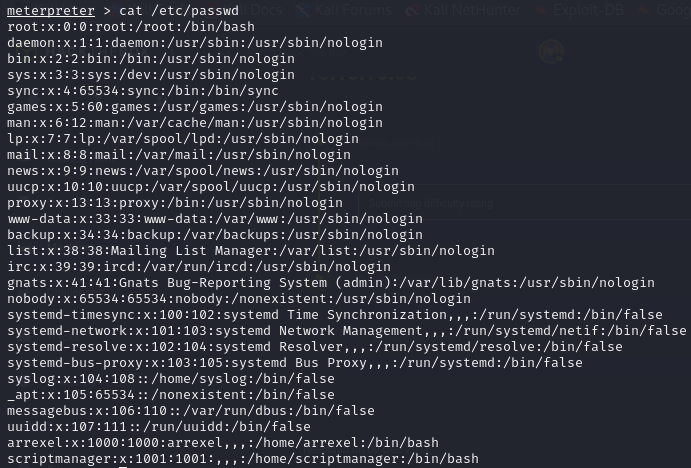 Bashed | A Hacker's Dream